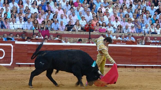 Huelva Declara Los Toros Patrimonio Cultural Inmaterial
