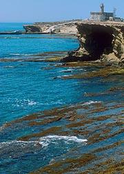 La Junta declara Parque Natural Protegido a la isla de Alborán