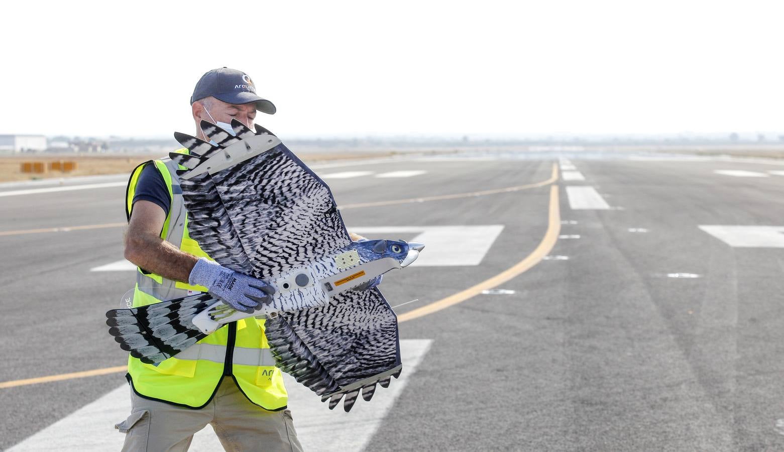 Drones Para Ahuyentar A La Fauna En El Aeropuerto De Sevilla