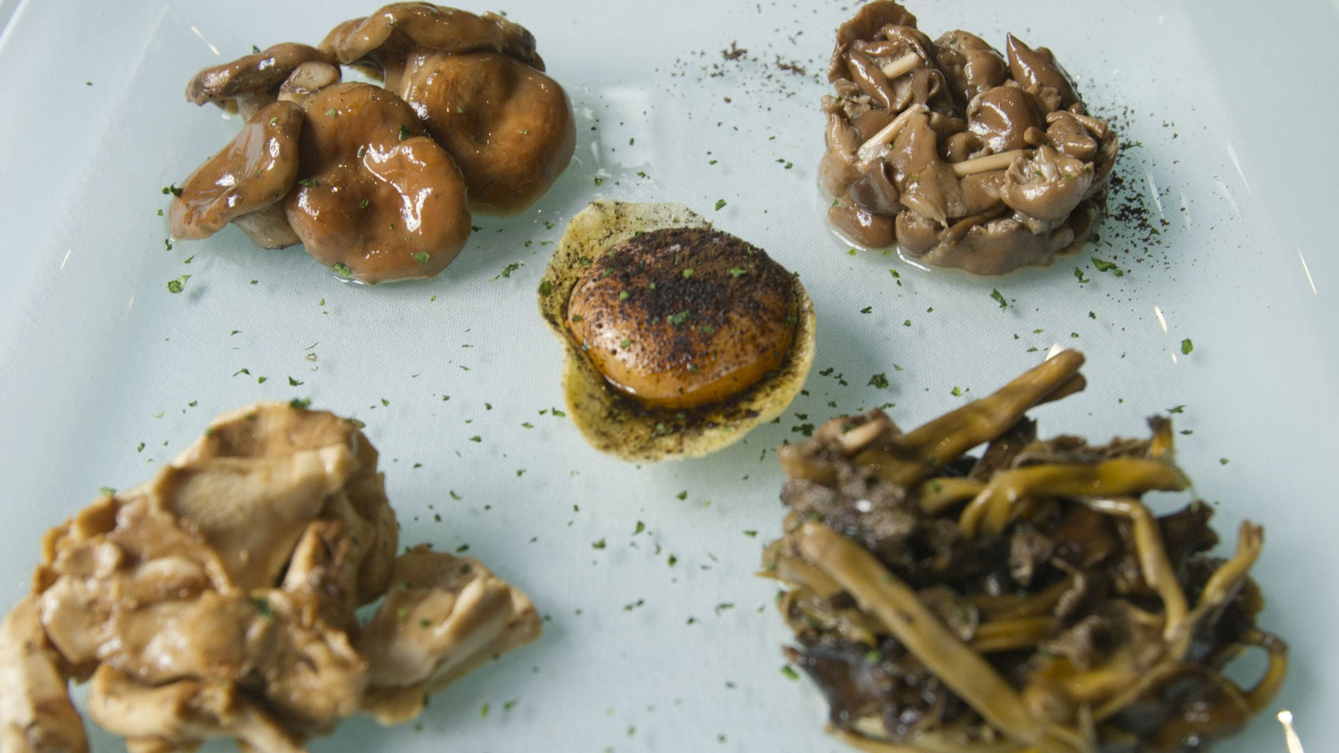 Níscalos, boletus, cantharellas...¡Cada seta con su receta!