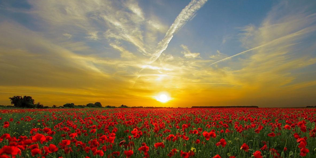 Qué es el equinoccio y en qué se diferencia del solsticio