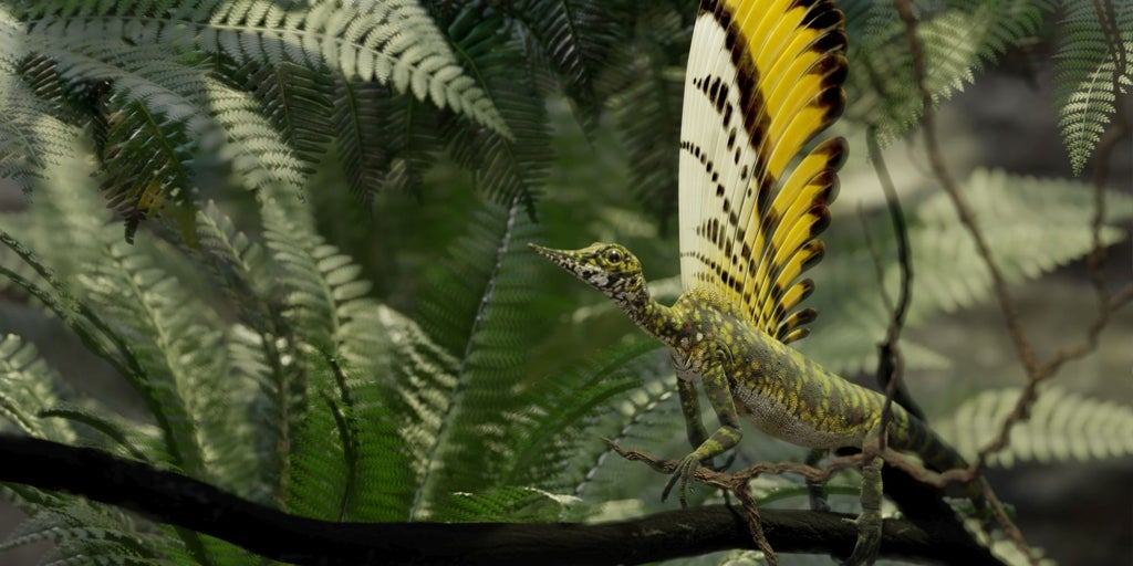 Bokep gattaouzo it wasn't too bad that she was in a tiny