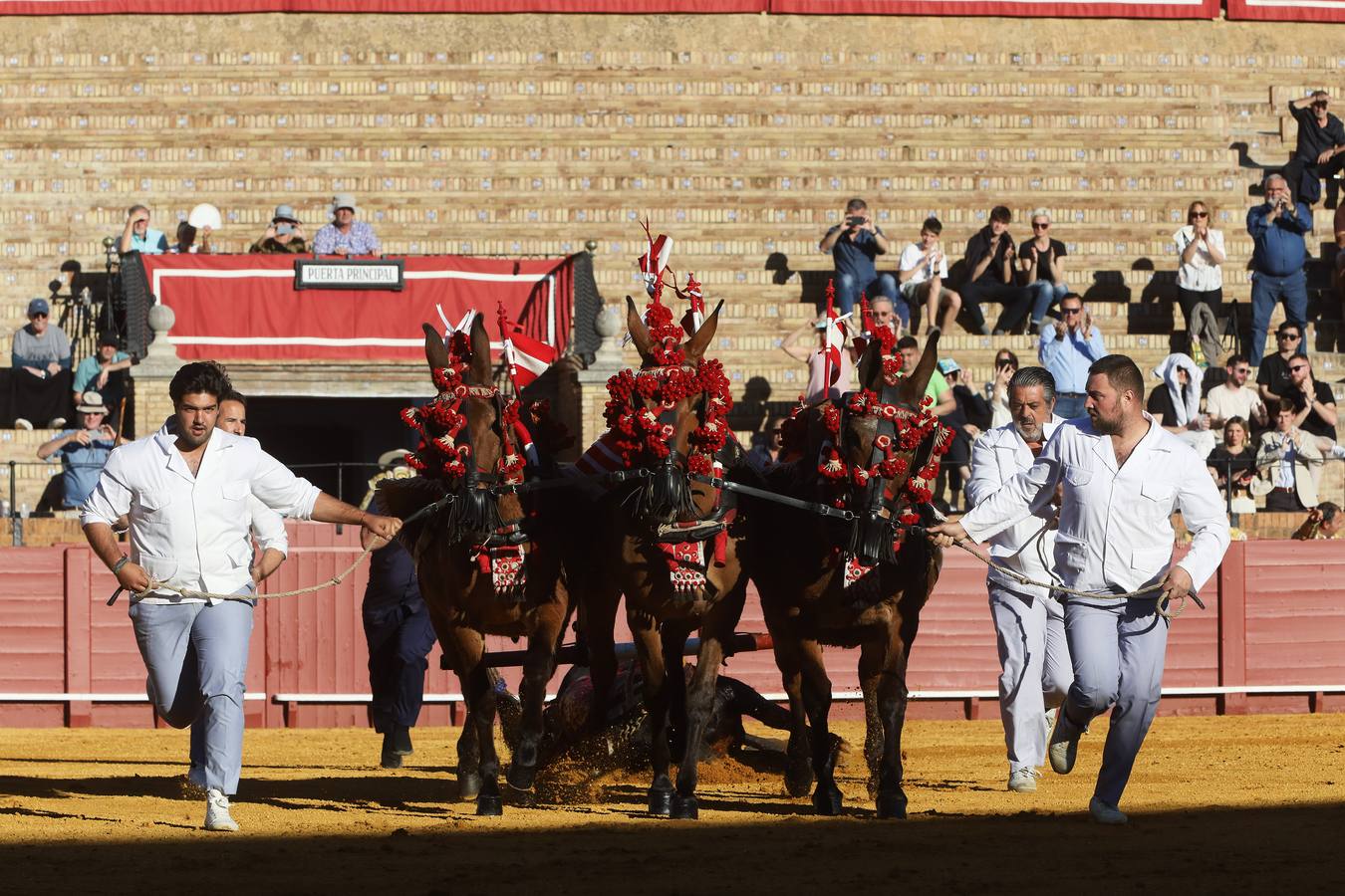 Las imágenes de la corrida de José Garrido, David de Miranda y Leo ...