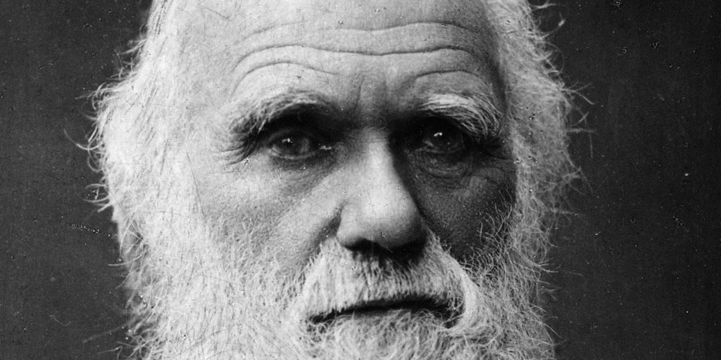 Charles Darwin: la curiosidad como método