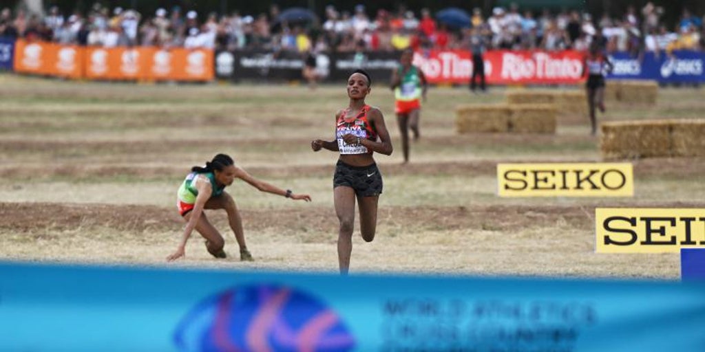 Drama de Letesenbet Gidey en el Mundial de cross: colapsa a 20 metros ...