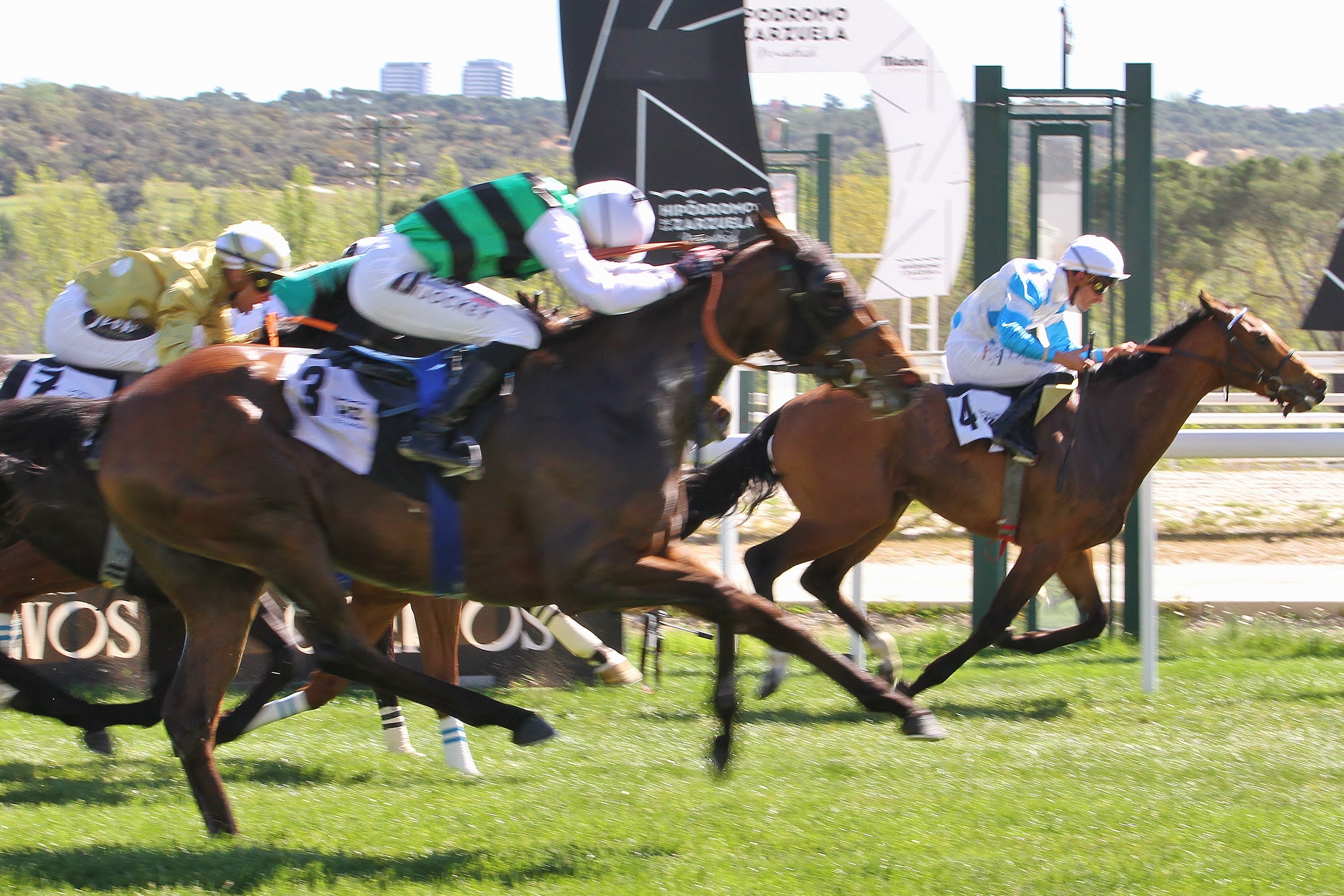 Lisicles brindó un gran homenaje a sus colores imponiéndose en el Gran ...