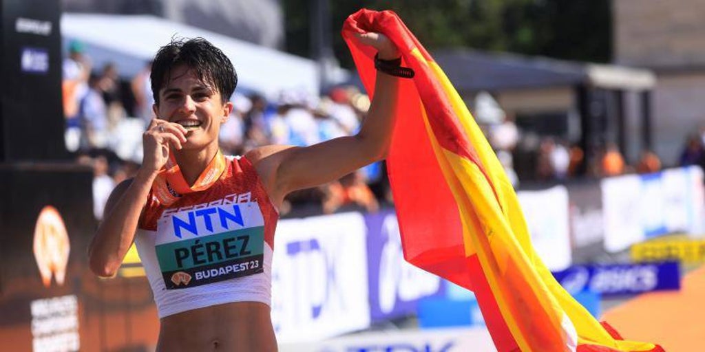 Ignacio Romo: La marcha y el bosque