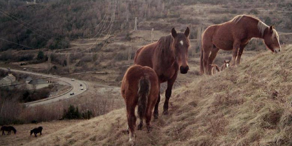 Lolo de Juan: Septiembre