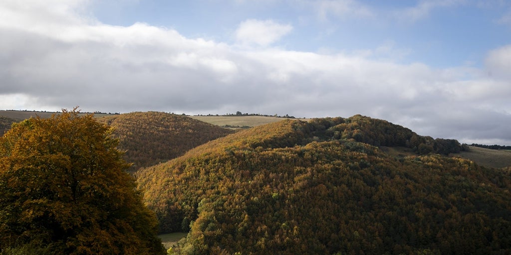 Lolo de Juan: Noviembre