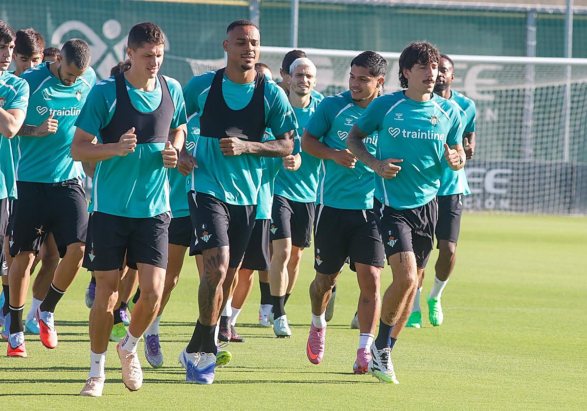 Indigojord sex tape nice place and great demeanor, but