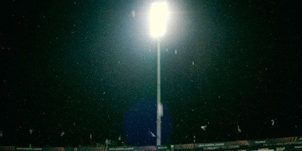 Morante debuta en el Betis en la semana en la que se anuncia el regreso ...