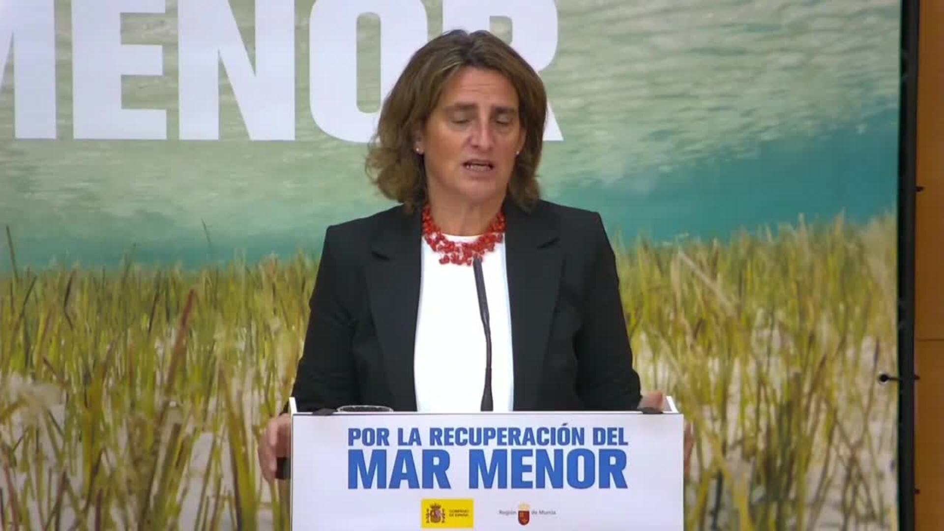 Ribera dice que es prematuro plantearse si el Estado toma una ...