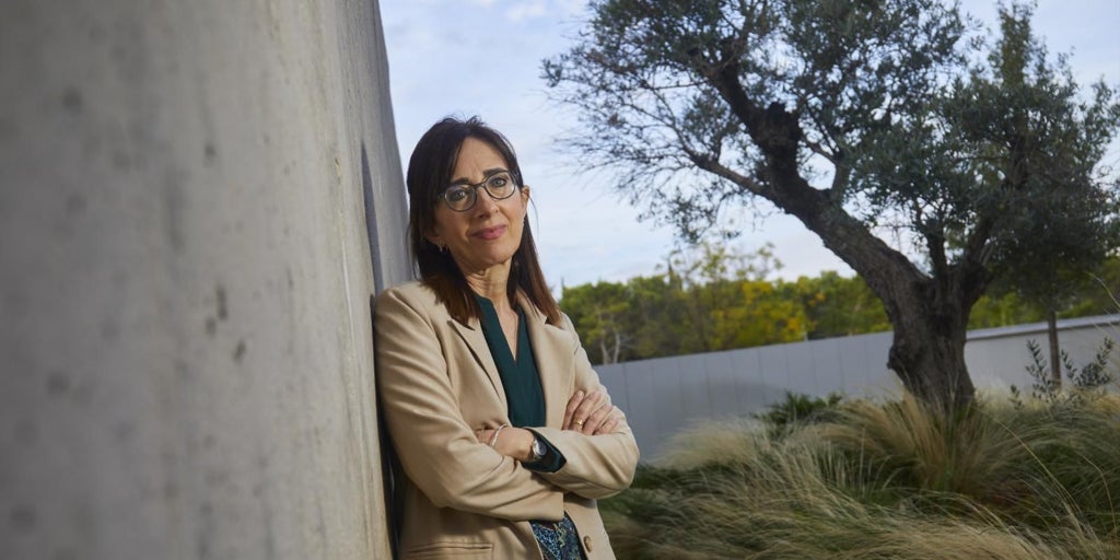 Elisa Chuliá: «Es una desgracia que confrontación y política se hayan ...