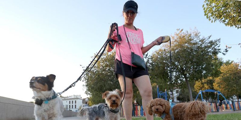 Sanitas lanza un seguro para mascotas que ofrece un reembolso del 80% ...