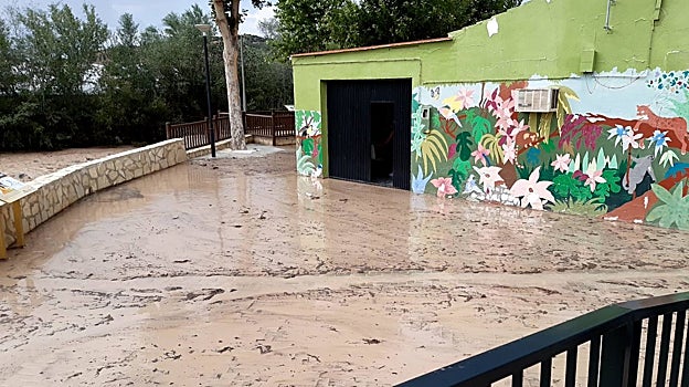 (Vídeo) Espectacular crecida del arroyo Blanco en Jauja sin grandes daños