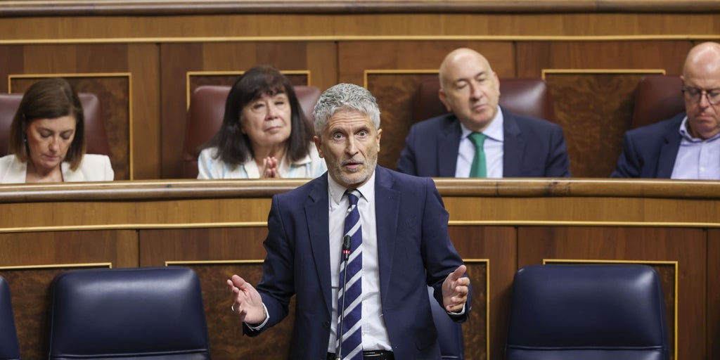 Nati Villanueva: Las veinte mentiras del ministro (y juez) Marlaska