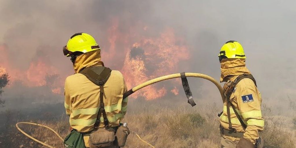 Geacam ejecutará 71 nuevas plazas para prevención y extinción de ...
