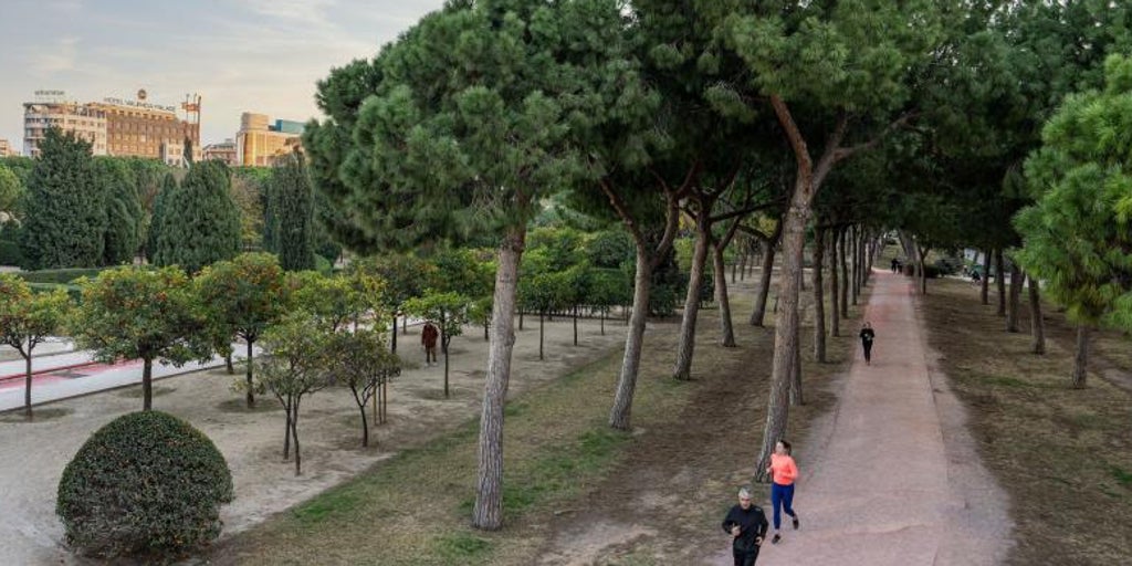 Un ciberataque ruso al Ayuntamiento de Valencia perjudica al sistema de ...