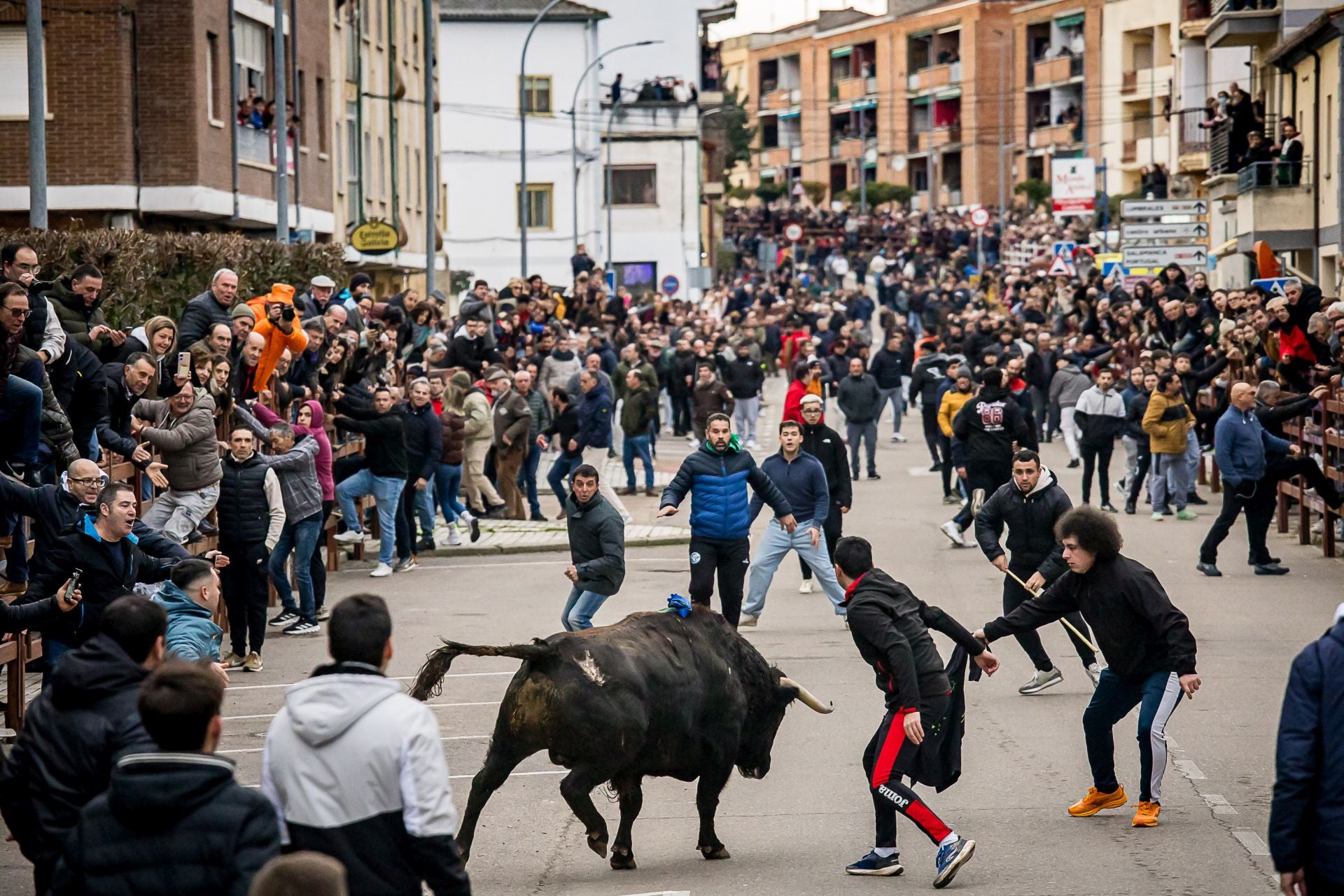 Miles de personas vibran con el Toro de San Sebastián en Ciudad Rodrigo ...
