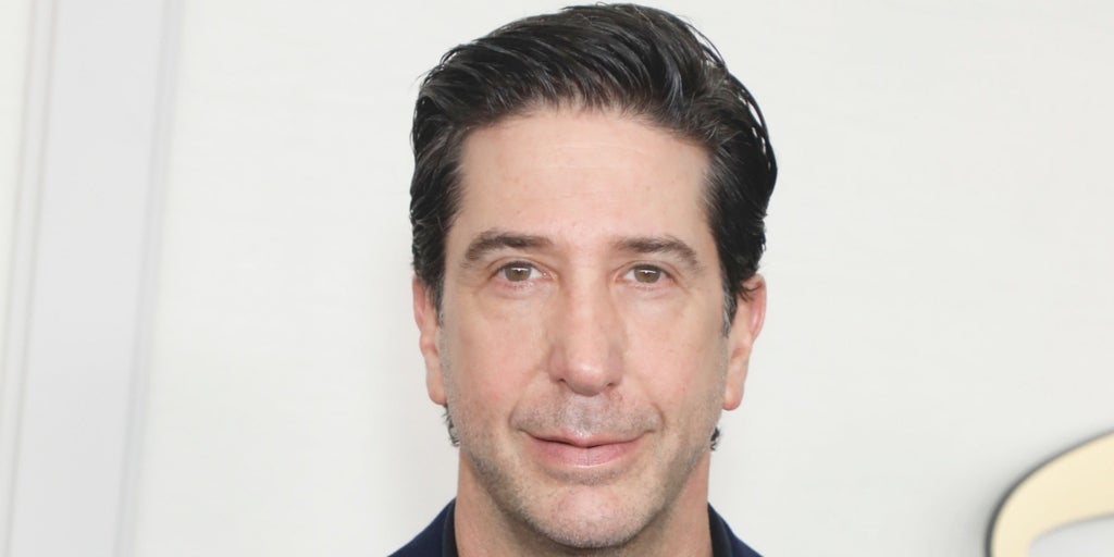 El nuevo amor del actor de 'Friends' David Schwimmer: una estudiante de ...