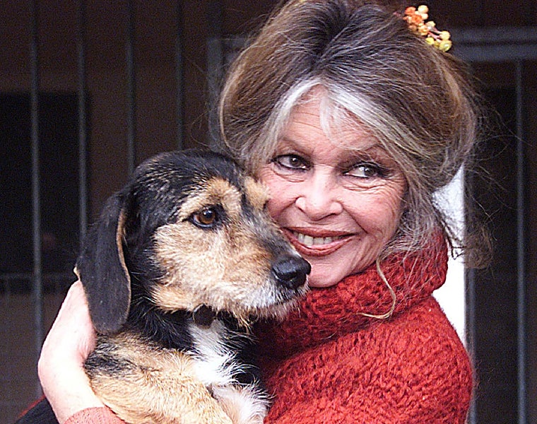 Brigitte Bardot murió de cáncer tras someterse a dos operaciones