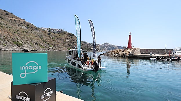 Jardines para el coral naranja del Mediterráneo