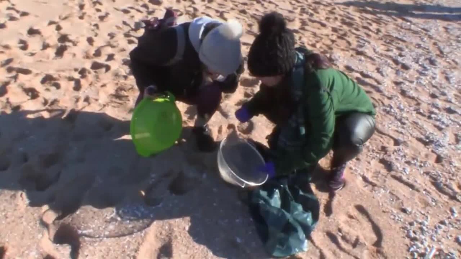 Preocupación por la marea de microplásticos que inundan las playas gallegas