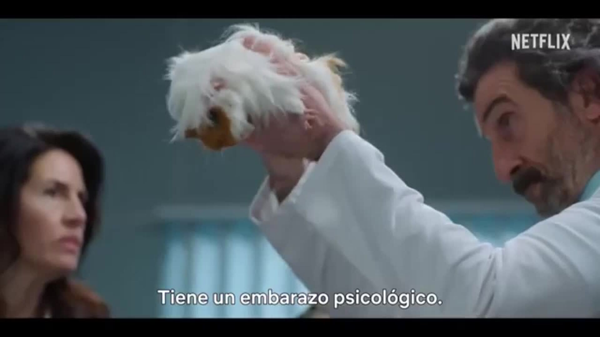 Luis Zahera, un veterinario en la serie ‘Animal’ de Netflix