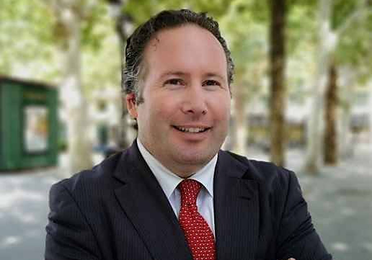 Otra baja en el grupo de Ciudadanos en el Ayuntamiento de Sevilla ...