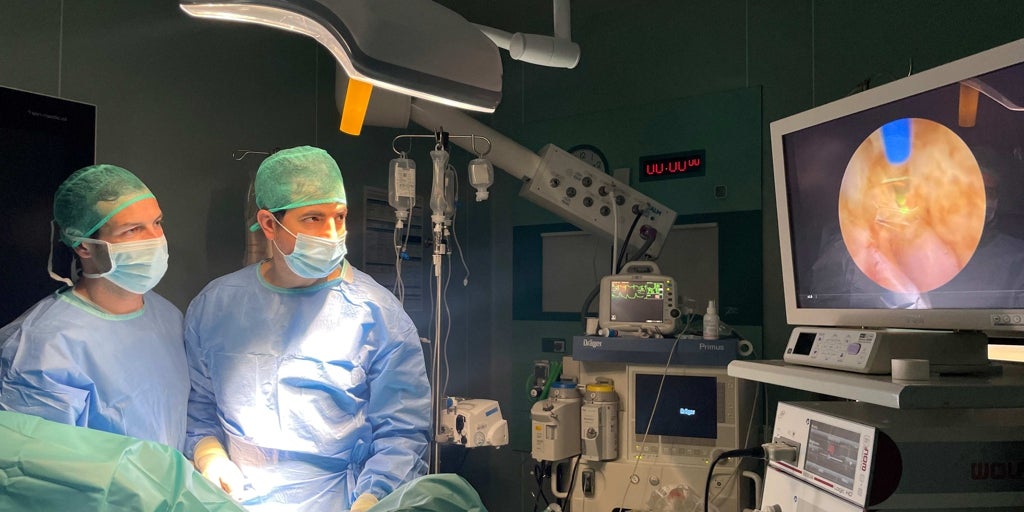 Infanta Luisa de Sevilla apuesta por una nueva técnica para eliminar ...