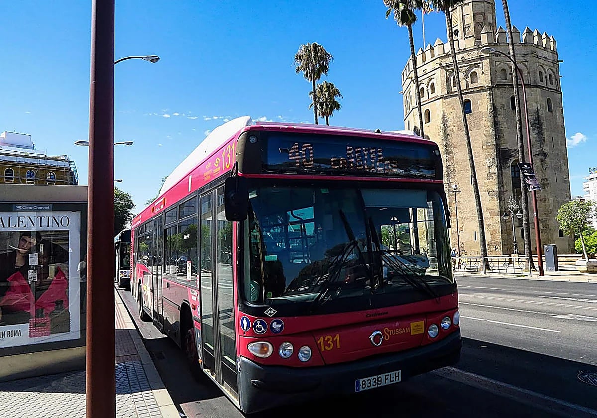 Tussam pone en servicio su línea especial CJ1 para el barrio de Isla ...