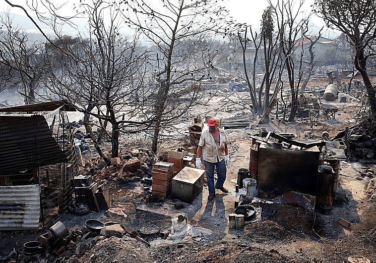 Grecia ha tenido que hacer frente a 300 incendios forestales en cinco ...