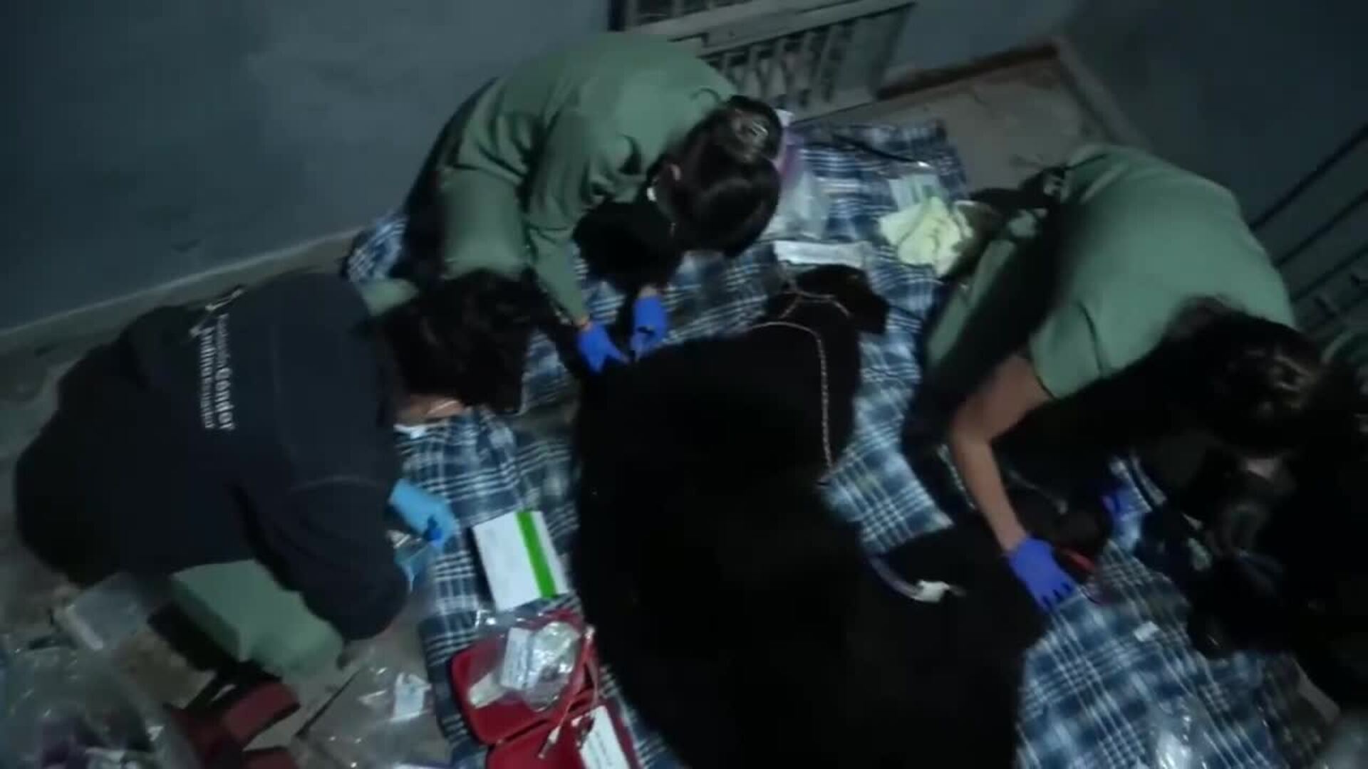 Tupak, el oso andino de Ecuador que espera un helicóptero para mudarse ...