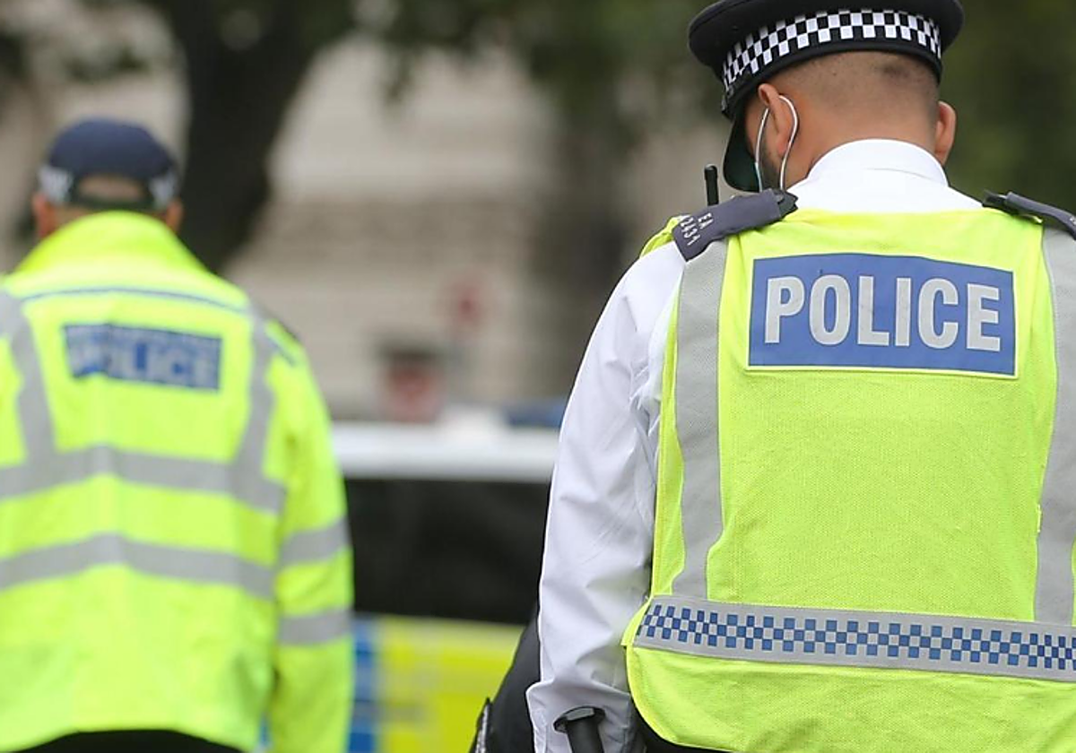 Muere una mujer tras ser atacada por sus dos perros American Bully XL en Londres