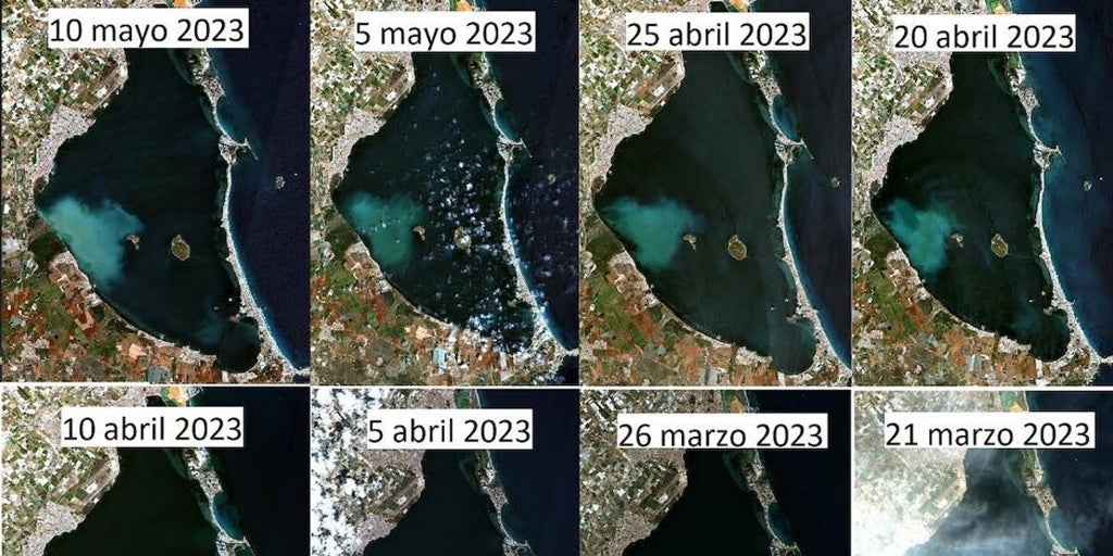 Whiting, el fenómeno detrás de la persistente mancha blanca del mar ...