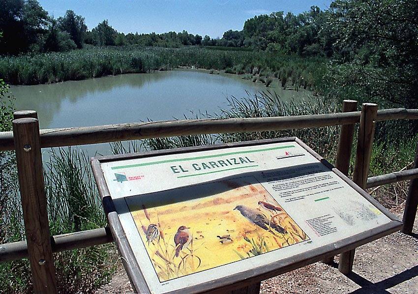 Diez paisajes geológicos impresionantes en España para descubrir este ...