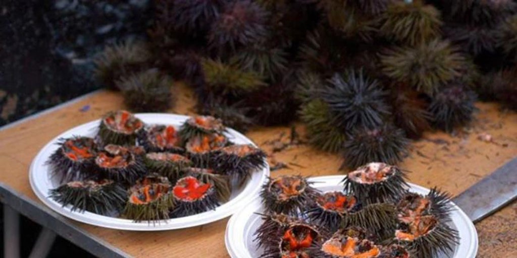 Fechas de todos los actos gastronómicos del Carnaval de Cádiz 2026 ...