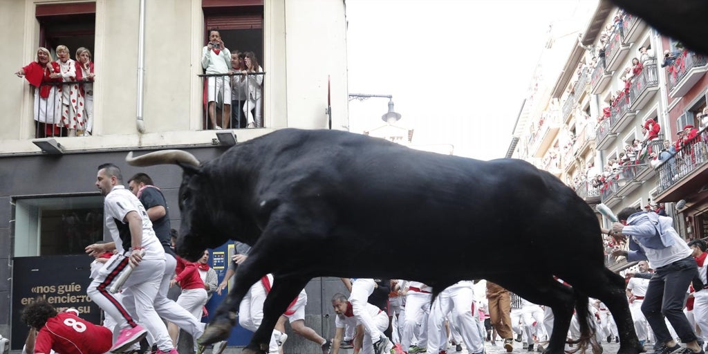 La ganadería gaditana de Cebada Gago, protagonista en San Fermín 2024