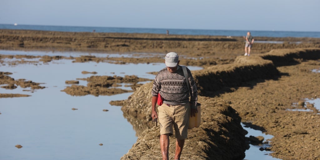 Getting back shots jisoo is quite inexperienced in her