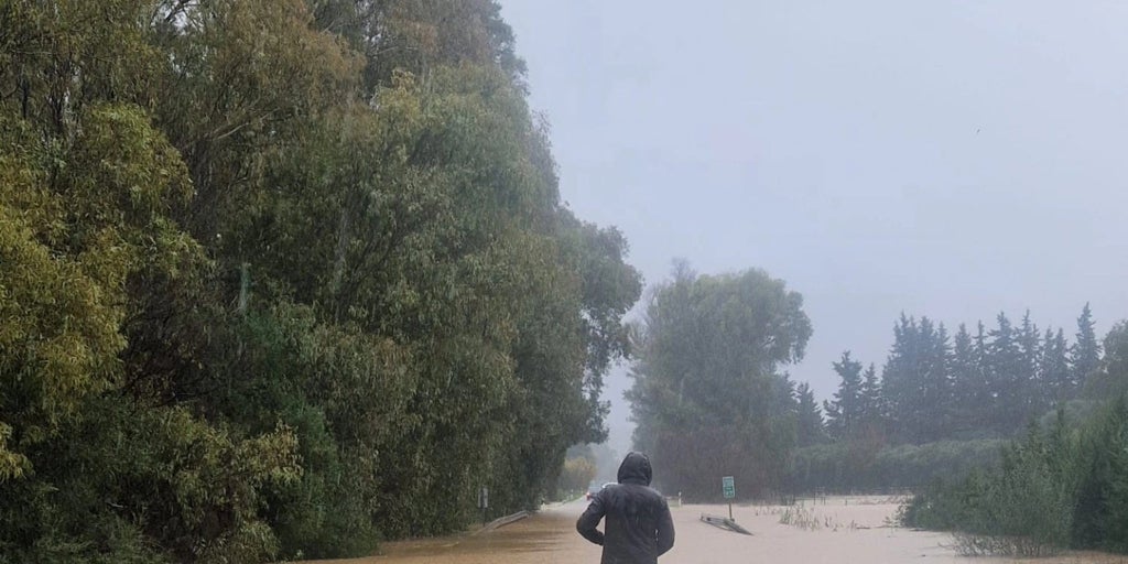 Efectos del temporal en Jimena: sin internet ni móvil tras la borrasca ...