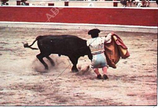 «Irónico, cruel y burlesco»: la tragedia española de los enanos toreros ...