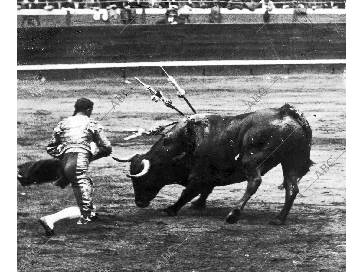 Cocherito Pasando de muleta A su primer Toro - Archivo ABC