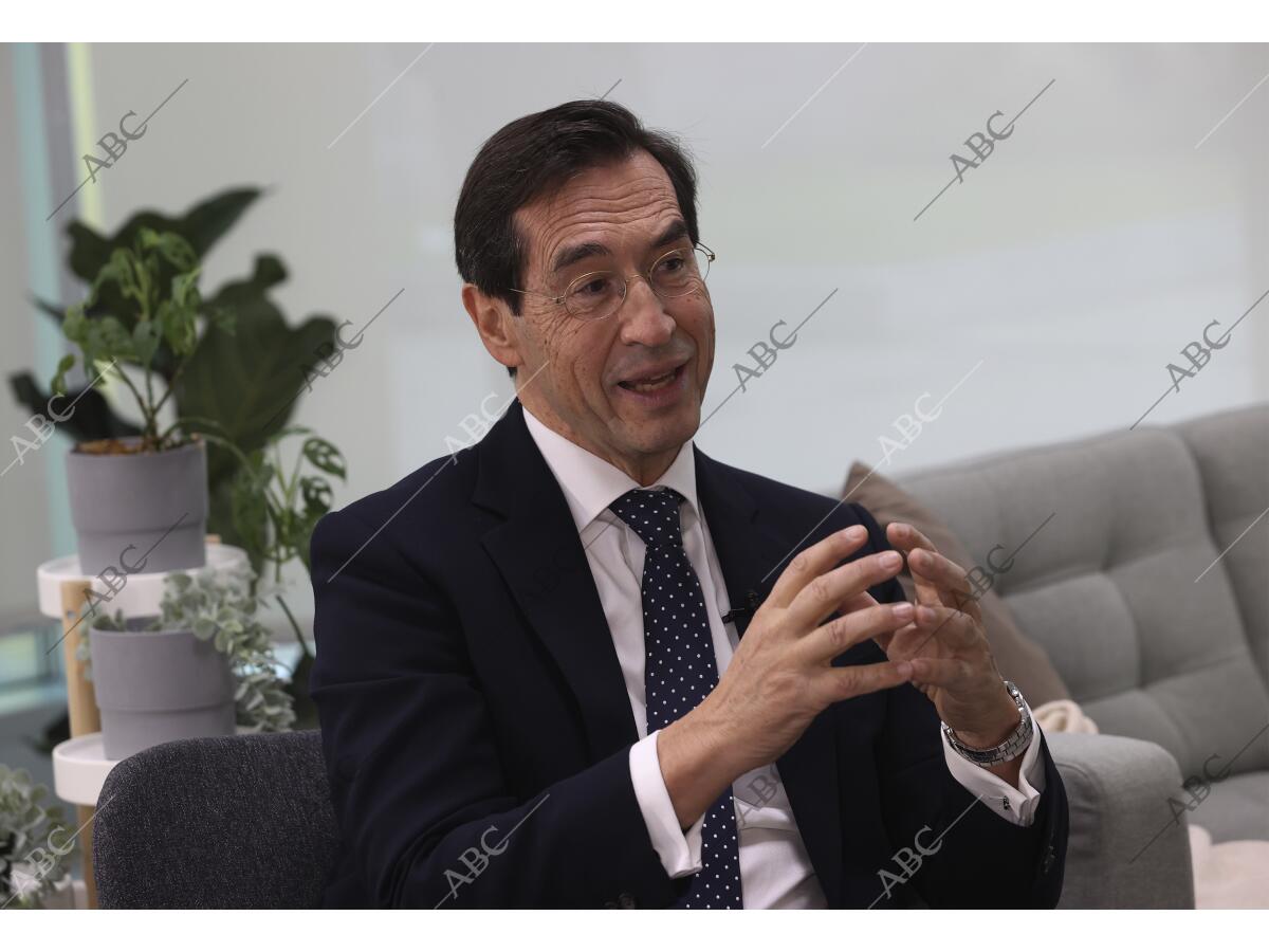 Entrevista al doctor Mario Alonso Puig - Archivo ABC